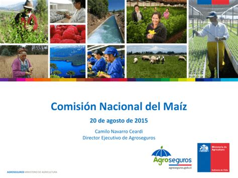 Comisión Nacional del Maíz 20 de agosto de 2015 Camilo Navarro Ceardi