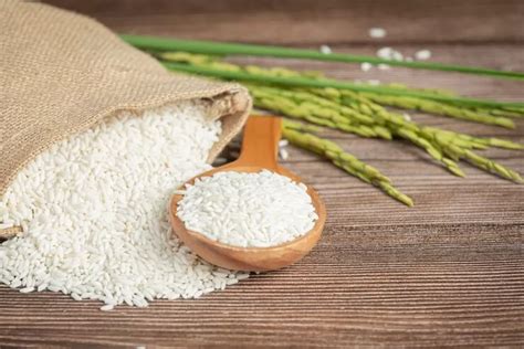 Harga Beras Meroket Akhir Pekan Ini Tembus Rp17 000 Per Kg Pemerintah