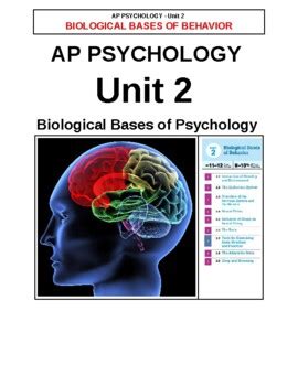 AP Psychology Unit 2 Biological Basis Of Behavior Notes Packet
