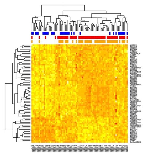 Heat Maps Of Gene Expression Data With Rows Representing Genes And