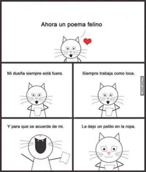 Memes de Poemas en español Pintzap