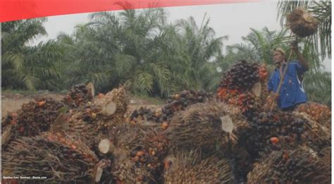 DataIndonesia ID On Twitter Indonesia Cabut Larangan Ekspor Harga