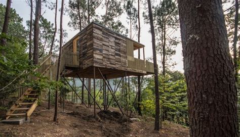 Cabanas do Barranco Cabañitas del Bosque Casa del arbol Cabañas