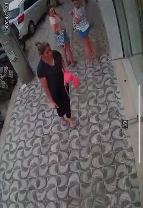 V Deo Vira Lata Caramelo Flagrado Roubando B Quini De Loja E Se