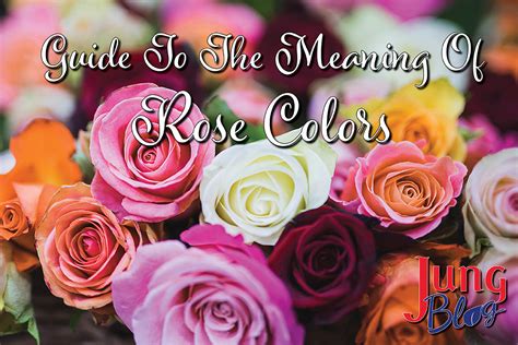 Guide To The Meaning Of Rose Colors Jung Seed Gardening Blog