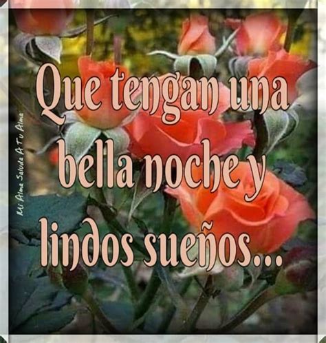 47 bonitas imágenes de Buenas Noches ImagenesMuyBonitas net