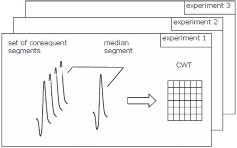 schematic diagram of preprocessing data for continuous wavelet download scientific diagram