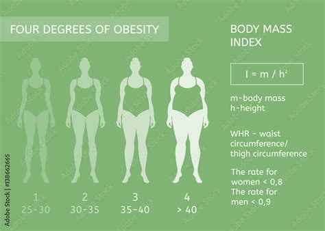 Woman Figure Obesity Stages Body Mass Index Infographics Vector The