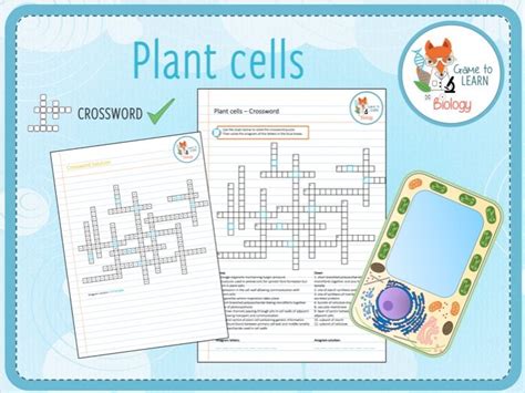 Plant Cells Crossword Ks Teaching Resources
