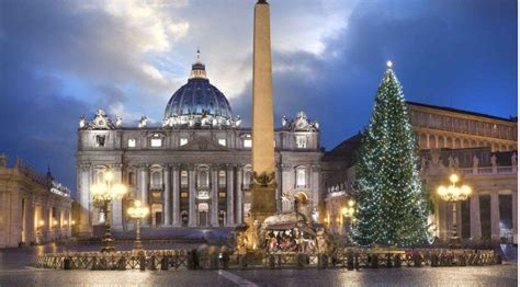 Anuncian encendido del árbol de Navidad del Vaticano 2023 9 de