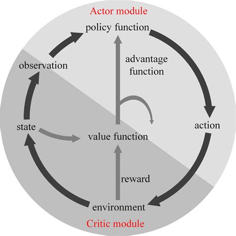 structure diagram of the actor critic algorithm download scientific diagram