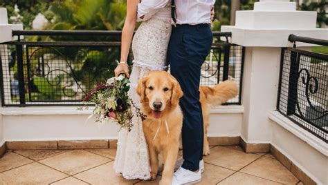 Lista de casamento confira o que não pode faltar Blog do Koerich
