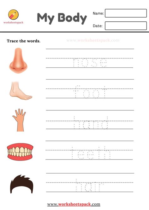 My Body Body Parts Worksheet Unterrichtsmaterial Im Fach Englisch