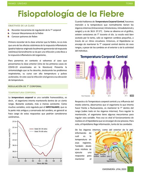 Clase Fiebre Contiene Temas Como La Regulaci N De La Temperatura