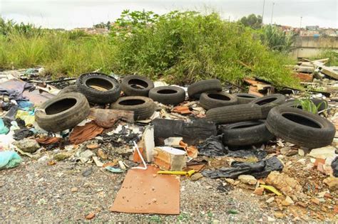 Brasil Ultrapassa Mil Mortes Por Dengue Em 2024 E Se Aproxima De