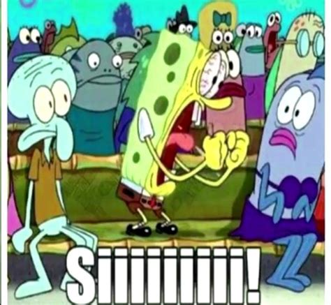 Pin By Mirisabby On Memes Laugh Cartoon Spongebob Memes