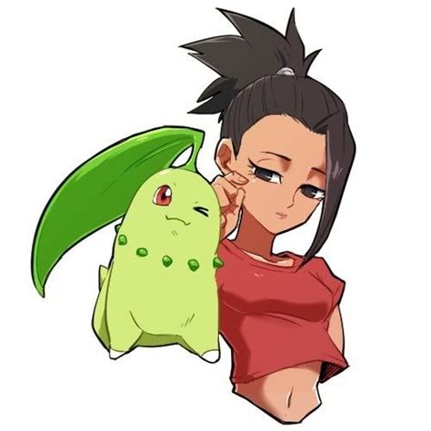Kale Kēru Dbz X Pokemon Dragon Ball Z Dragon Ball Super Girl Dragon Akira Goku Black Ssj
