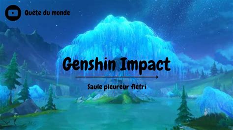 Genshin Impact Saule pleureur flétri suite de la quête Chemin