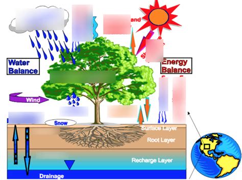 Exam 2 Ecosystem Ecology Diagram Quizlet