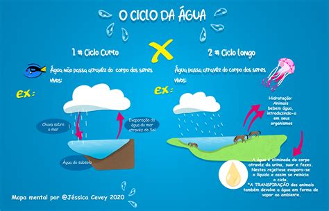 ABRA A IMAGEM EM NOVA ABA PARA MELHOR QUALIDADE Biologia Mapa