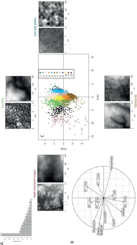 results of the g pca integrating textural and morphometric criteria download scientific diagram