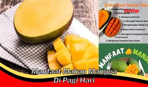 Temukan Manfaat Istimewa Makan Mangga Di Pagi Hari Yang Jarang
