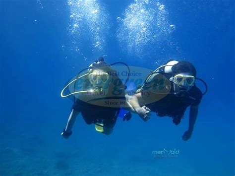 Dalyan Turtle Beach Tour Evergreen Fethiye Travel Agency