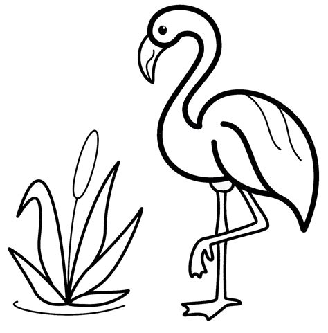 Ausmalbilder Flamingo Kostenlos Zum Ausdrucken