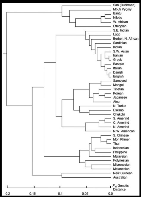 genetic distances among 42 populations download scientific diagram