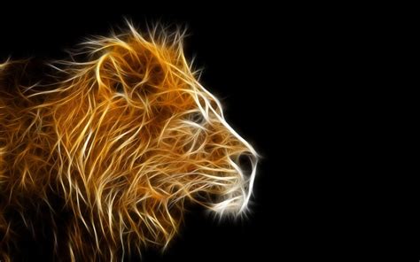 Brisbane Lions Wallpapers Top Free Brisbane Lions Backgrounds