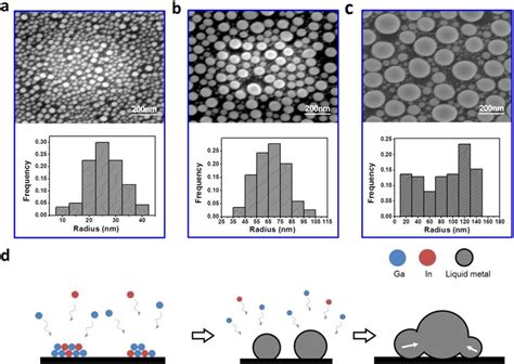 A C Sem Images And Particle Size Distribution Histograms Of Ga In