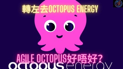 英倫生活篇 轉用左一個月Octopus Energy Agile Octopus係唔係真係人人啱用 YouTube