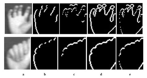 static hand gesture recognition using multi layer neural network classifier on hybrid of features