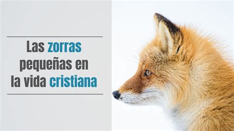 Las zorras pequeñas en la vida cristiana Parte 1 YouTube
