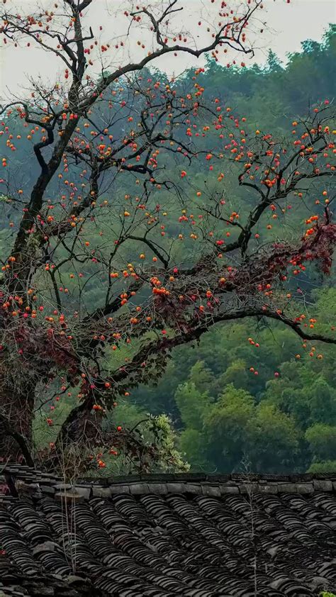 Nature Lover On Instagram Opne Tha Reel Reel Reels