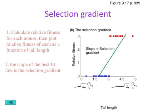 ppt selection on quantitative traits powerpoint presentation free download id 6203168