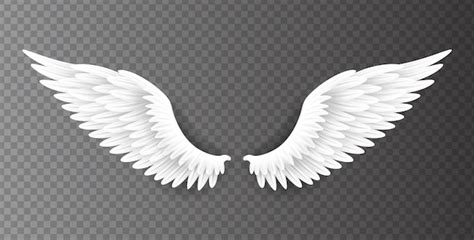 Par De Hermosas Alas De Ngel Blanco Aislado Sobre Fondo Transparente