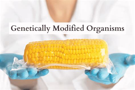 13 Pros And Cons Of GMOs Backed By Evidence In On Around