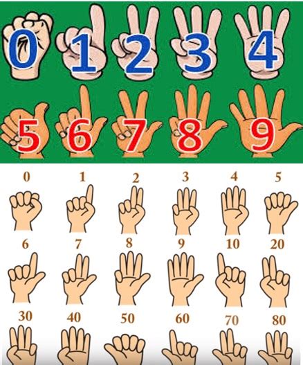 Chi toán pháp và tiết lộ những ngón tay người biểu thị các con số bí ẩn