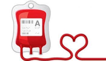 Descubre Los Requisitos Para Donar Sangre En Bolivia