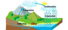 Le cycle de l eau expliqué aux enfants Être parents