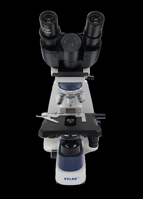 VE B1 MICROSCOPIO BINOCULAR BÁSICO Velvek Global