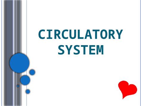 PPTX CIRCULATORY SYSTEM OBJECTIVES Describe The Basic Functions Of