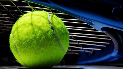 Pelota De Tenis Tenis Primer Plano Raqueta Equipo De Tenis Raqueta