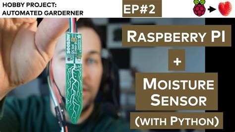 Raspberry PI Moisture Sensor With Python Wiring Code Step By Step