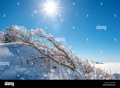 Seoraksan National Park Winter Tourism Hi Res Stock Photography And