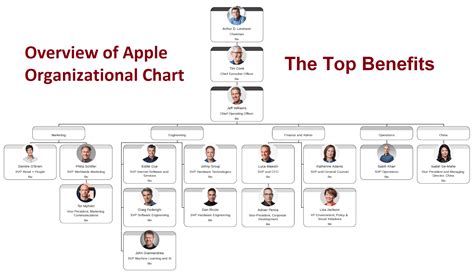 Umfassende Analyse Des Apple Organigramms