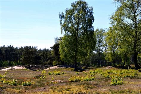 Paysage La Nature Naturel Photo Gratuite Sur Pixabay Pixabay