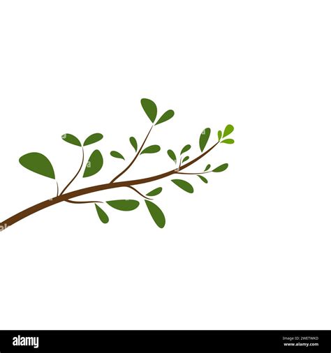 Tree Branch Vector Ilustration Design Template Stock Vector Image Art