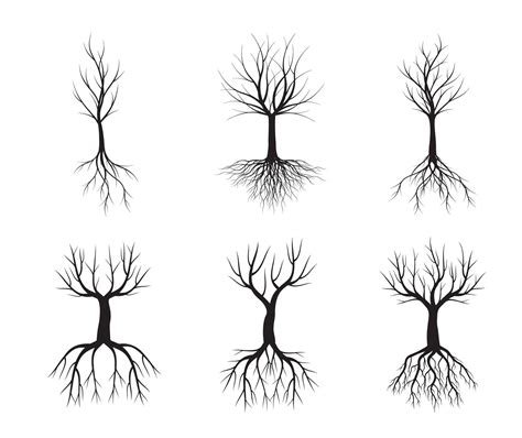 recuar árvores nuas raízes ilustração em vetor contorno arquivo